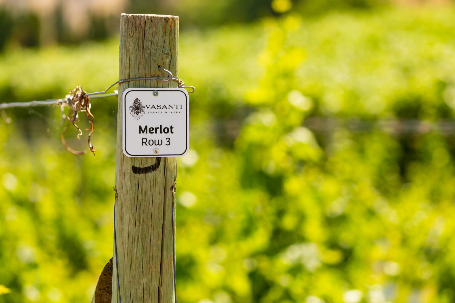 Be Surprised: Discover Oliver, BC - Visit South Okanagan