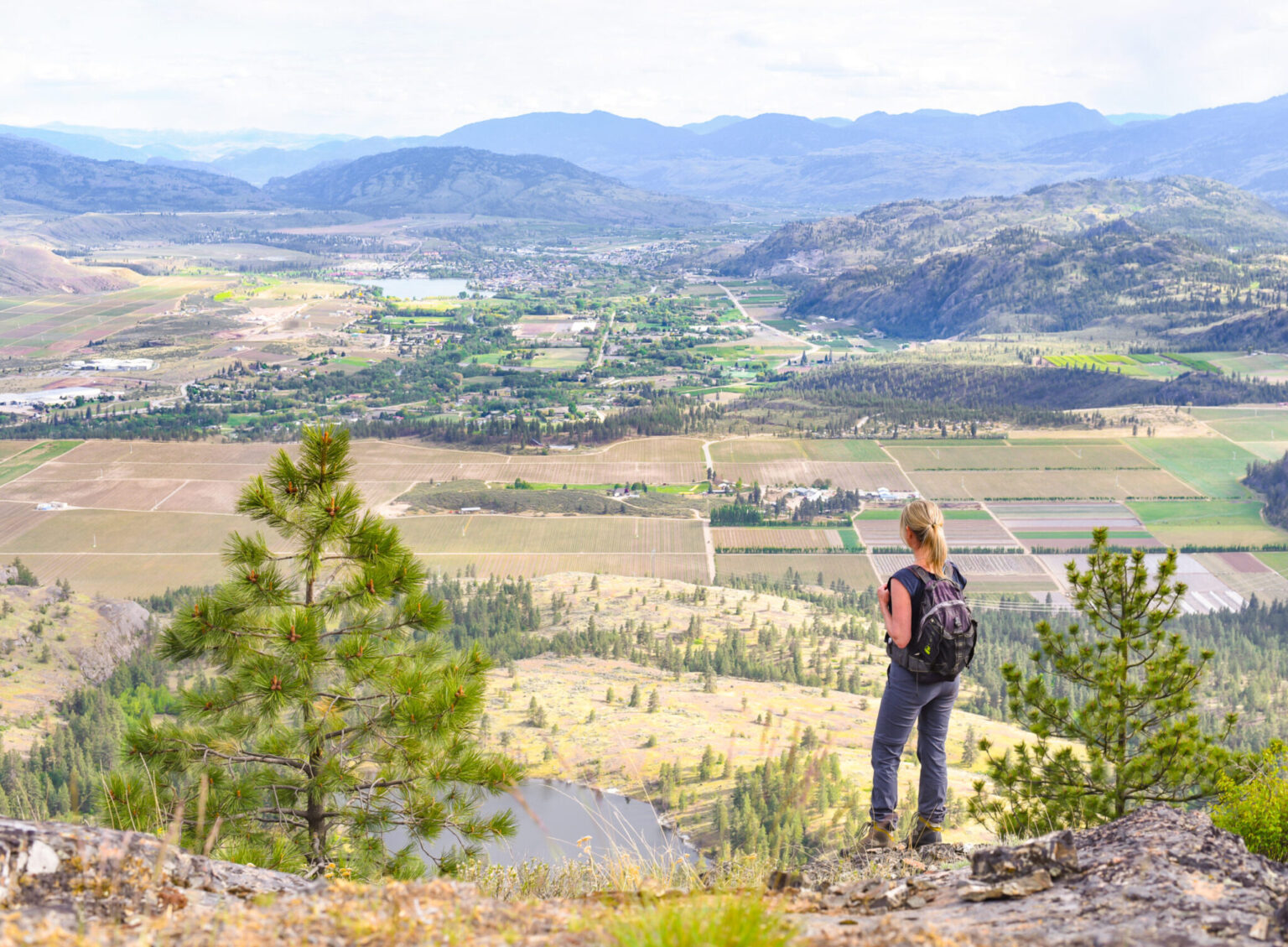 Be Surprised: Discover Oliver, BC - Visit South Okanagan